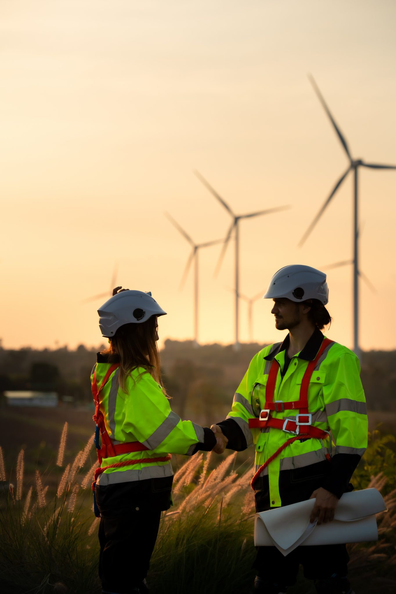 AEF – Solutions de Performance Énergétique pour Entreprises